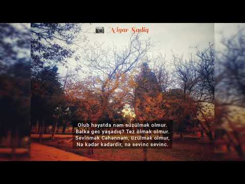 Gənc sevinc (Şeir)