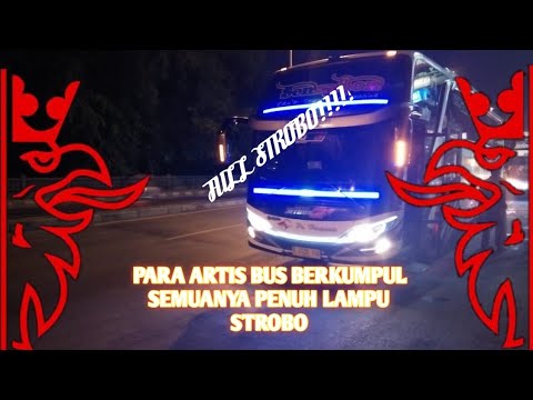 KUMPULAN BUS ARTIS INDONESIA||BURUAN PARA MANIA|| versi lagu CAN WE KISS VOREFER