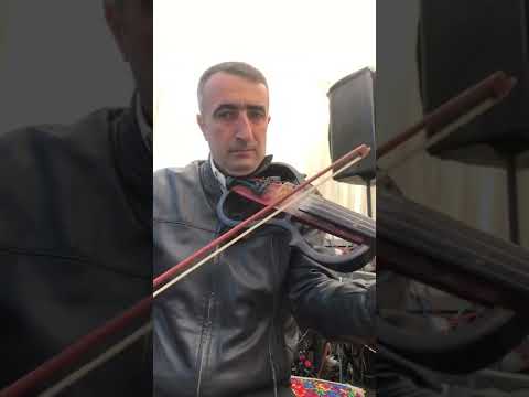 Hemid skiripka sevirdim yar