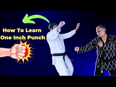 "Is One Inch Punch Realy Effective : Bruce Lee's Legendary Technique ...