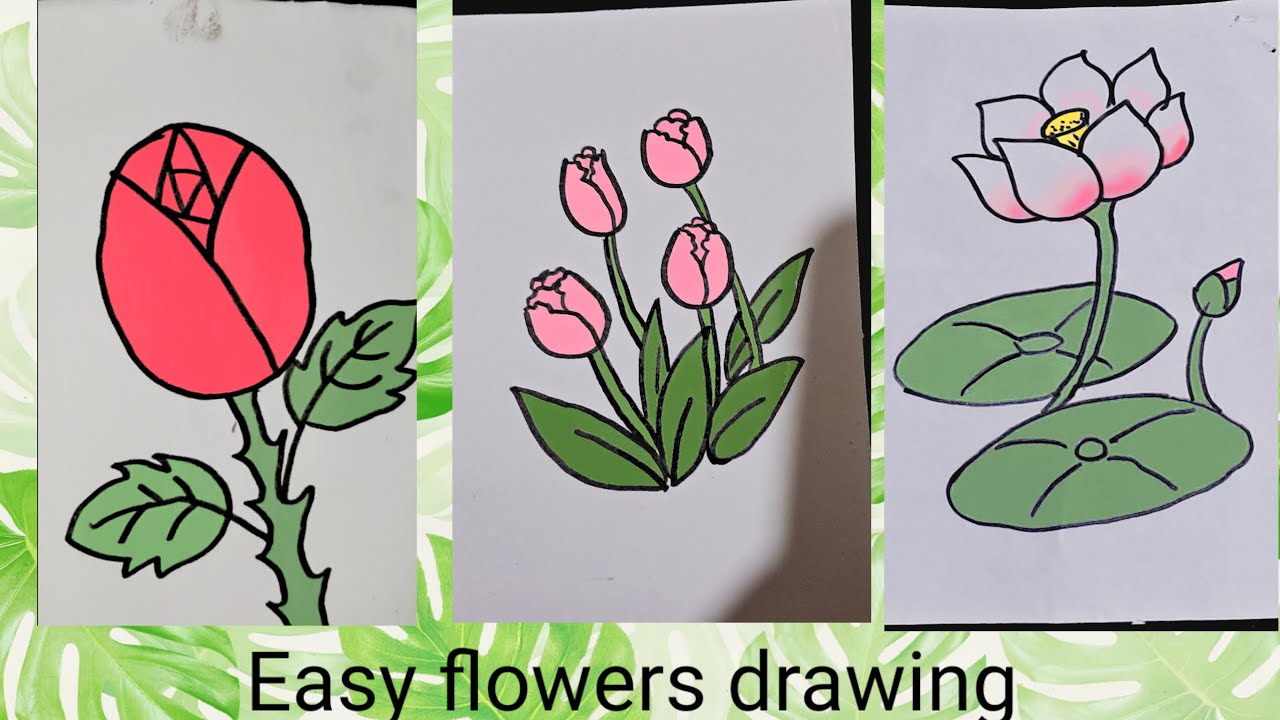 How to draw easy beautiful 3 flowers in different step. drawing for ...