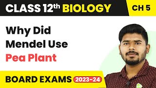 Why Did Mendel Use Pea Plants - Principles of Inheritance and Variation | Class 12 Biology (2022-23)
