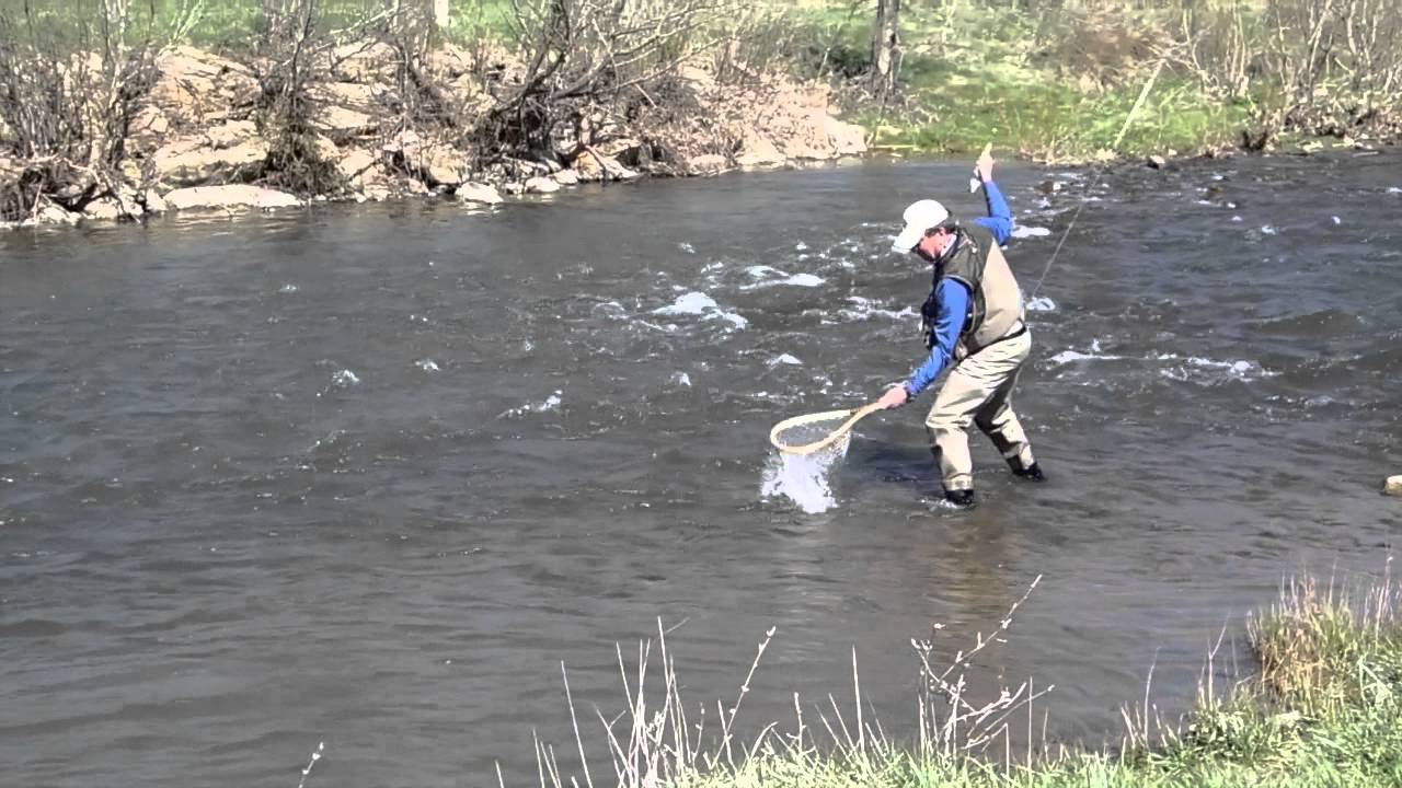 Tim's Fish Tomahawk Farms - YouTube