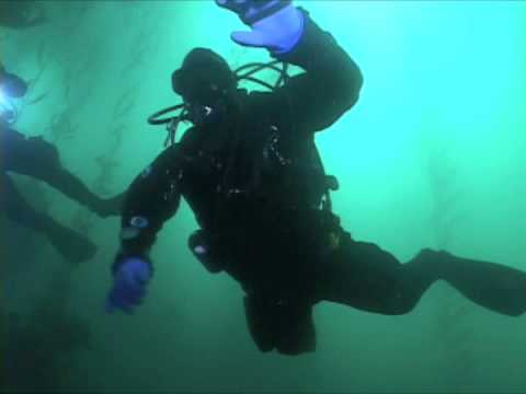Scuba Diving Scootering DYFO (Dive Your Face Off) 2009 - YouTube