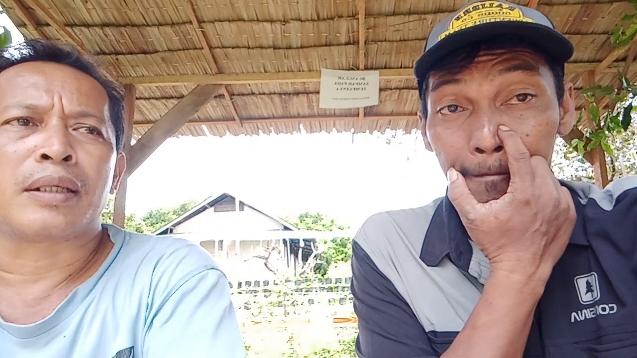 Rasau jaya 3 menuju desa wisata buah 2020 - YouTube