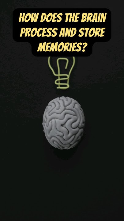 How does the brain process and store memories? - YouTube