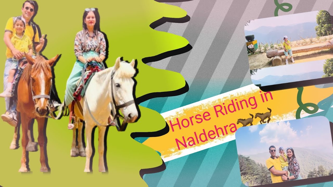Naldehra ||Horse Riding || Shimla || Places to visit in ||Shimla || 🏇# ...