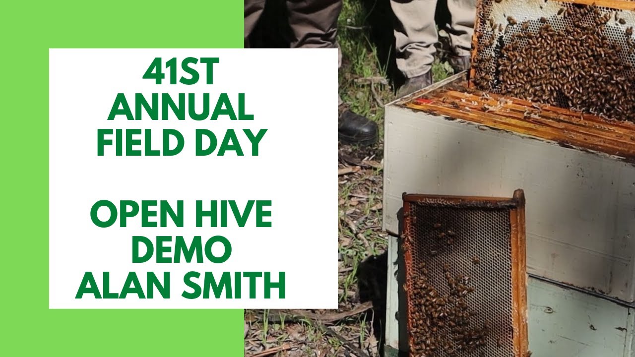Open Hive Demonstration by Alan Smith and team. - YouTube