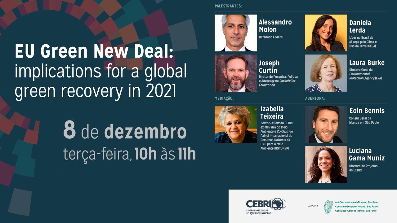 EU Green New Deal: Implications for a Global Green Recovery in 2021 ...