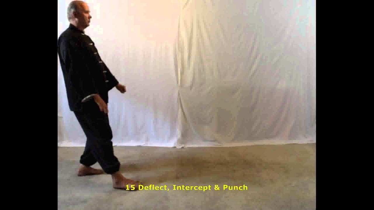 Practice #15 16 & 17: Deflect, Intercept & Punch, Withdraw & Push, Wuji ...