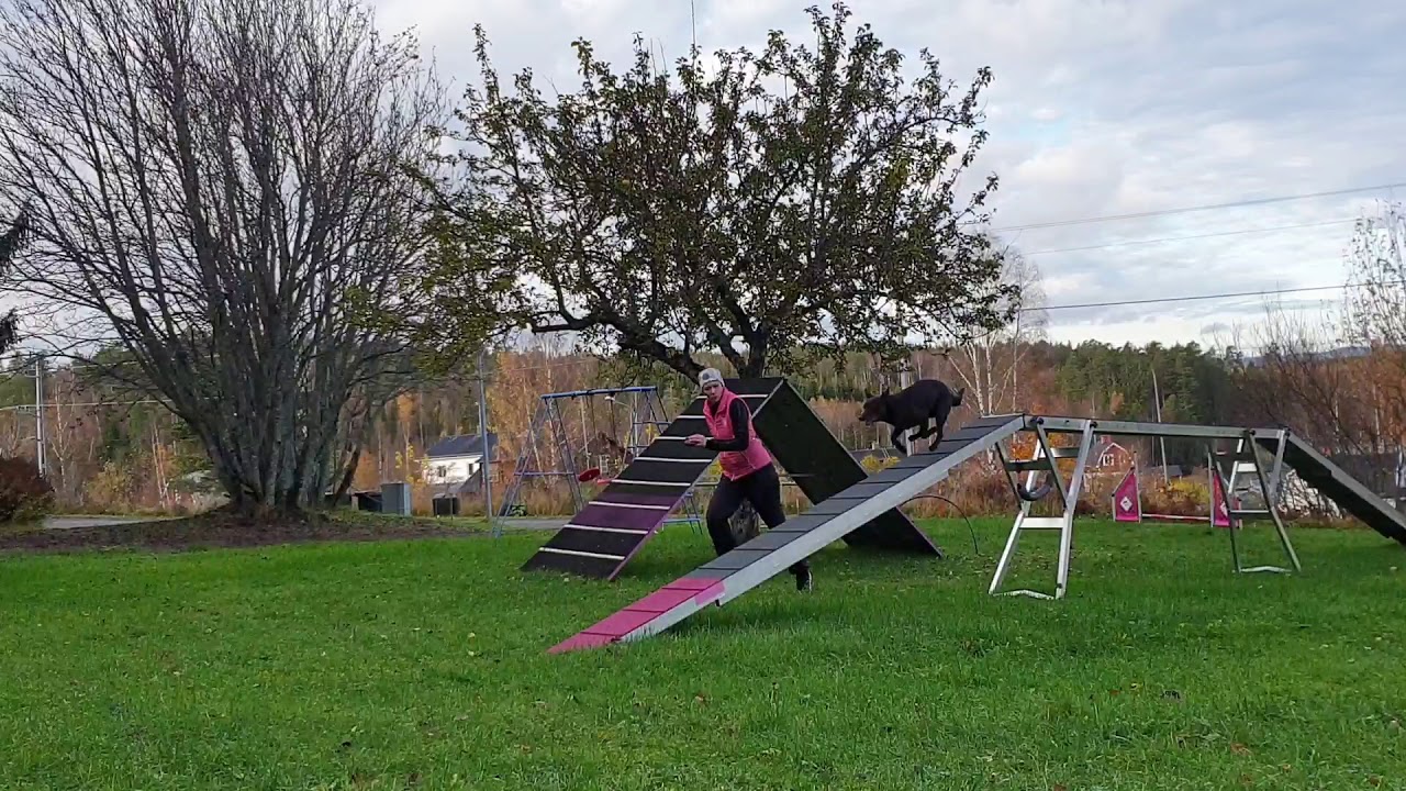 Kira running contacts training 24/10-2019 - YouTube