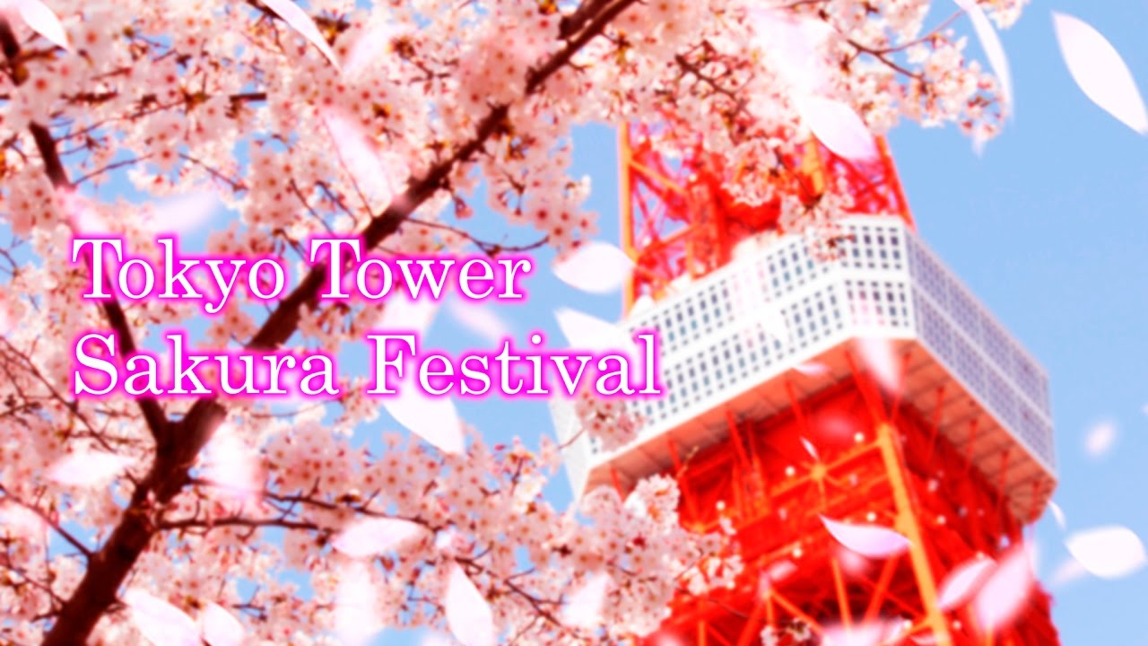 Tokyo Tower Sakura Festival - YouTube