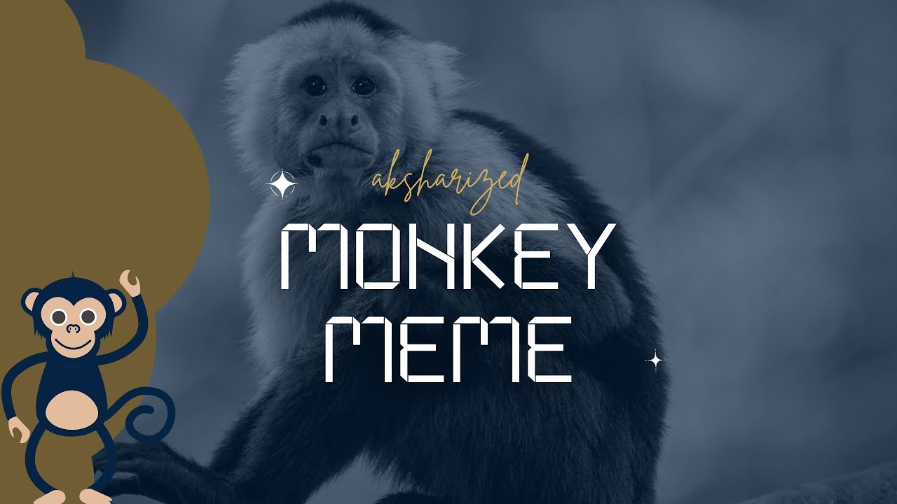 Monkey Meme | Indian Meme | Heavy Driver Meme - YouTube