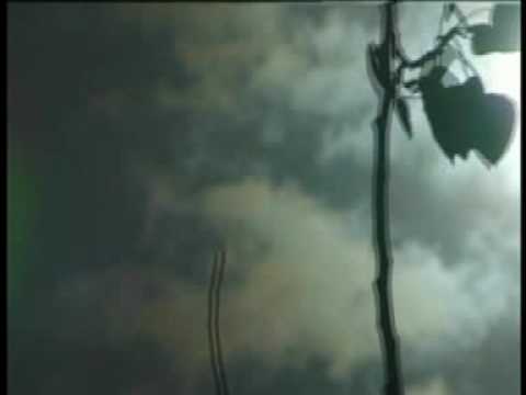 paja i nino - vanzemaljac.mpg