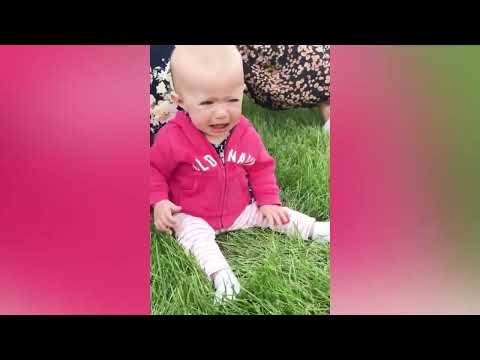 FUNNY CAT VIDEOS 2023 PART XXX - VIDEO KOMPILASI KUCING DAN ANJING YANG LUCU