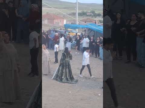 koma se bıra Abbas kara & Grani yunus Akpınar köyü