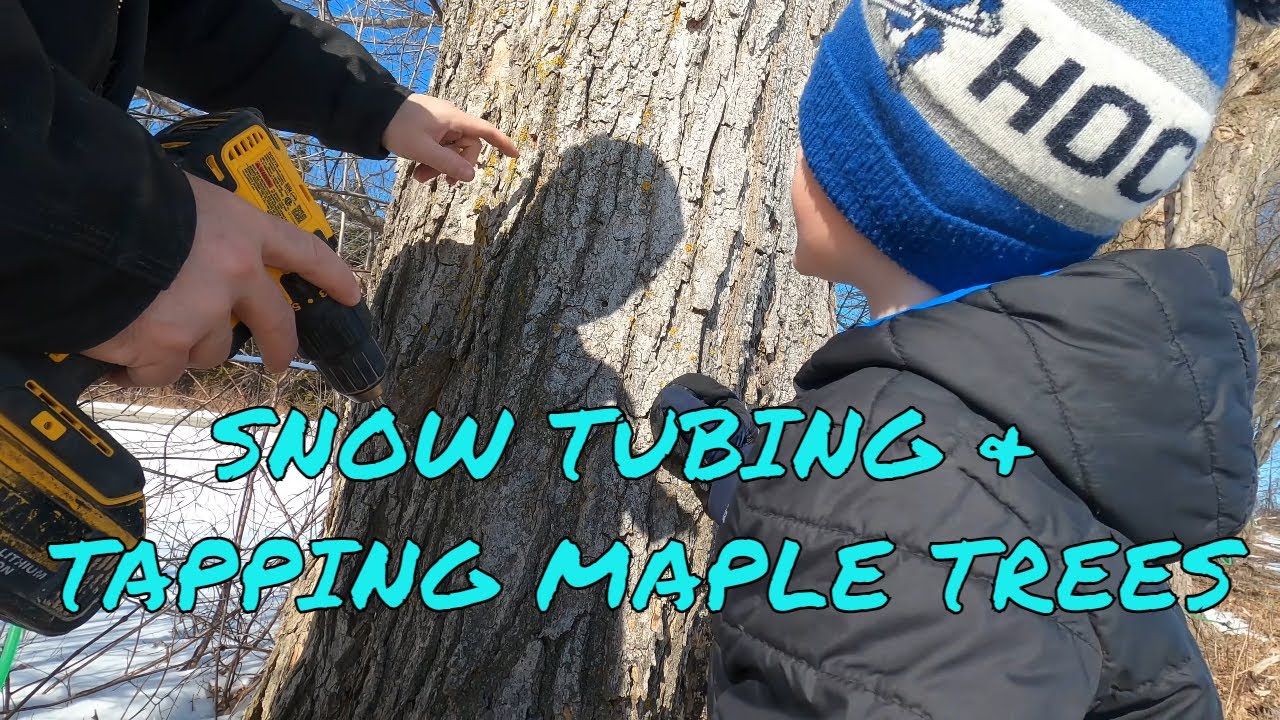 Maple sap pipeline installation after a morning of snow tubing! - YouTube