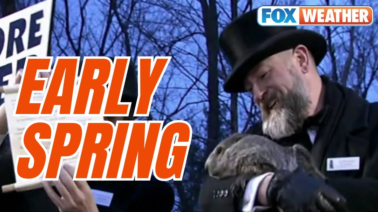 Punxsutawney Phil Doesn't See His Shadow, Predicts An Early Spring ...