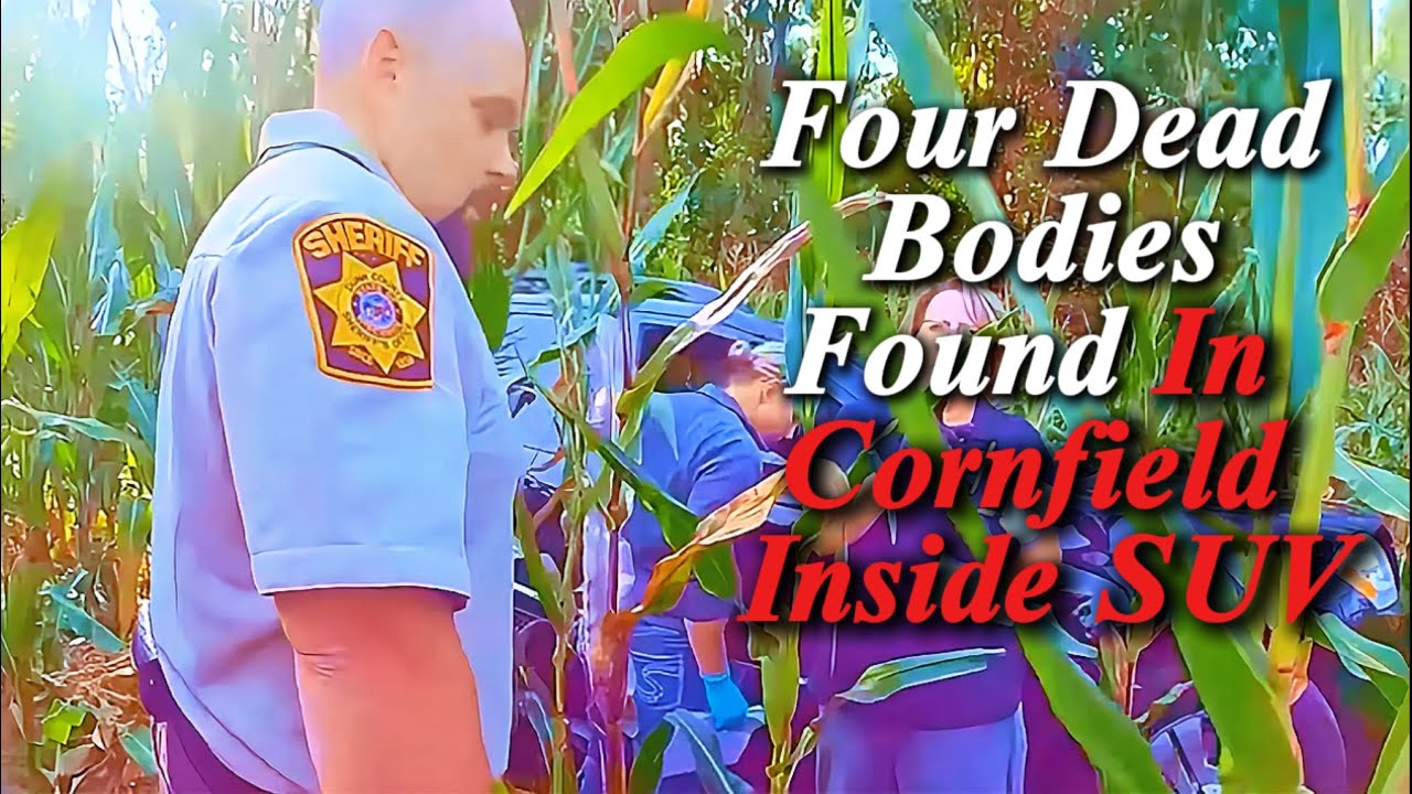 Four dead bodies found in cornfield inside SUV - YouTube