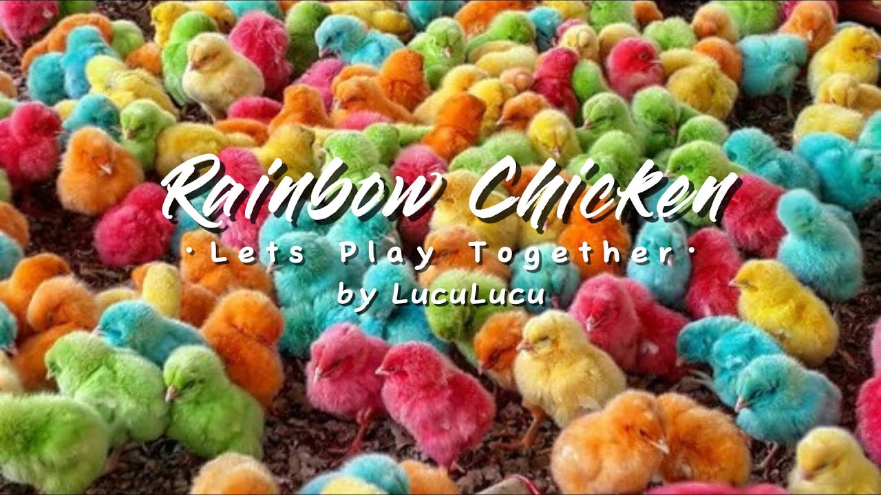 Funny chicks Colored chickens Rainbow chickens Cute ducklings Colorfull ...