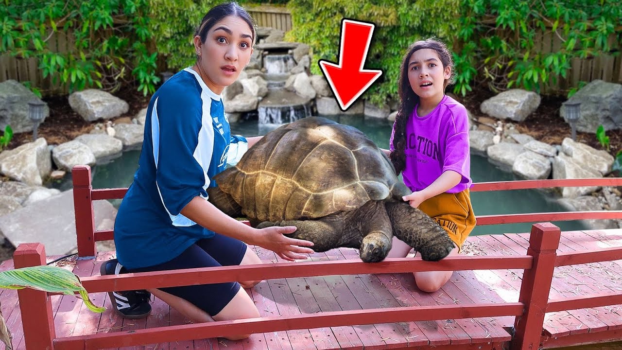 We Can’t Believe We Found This in Our Pond!! *shocking* | Jancy Family ...