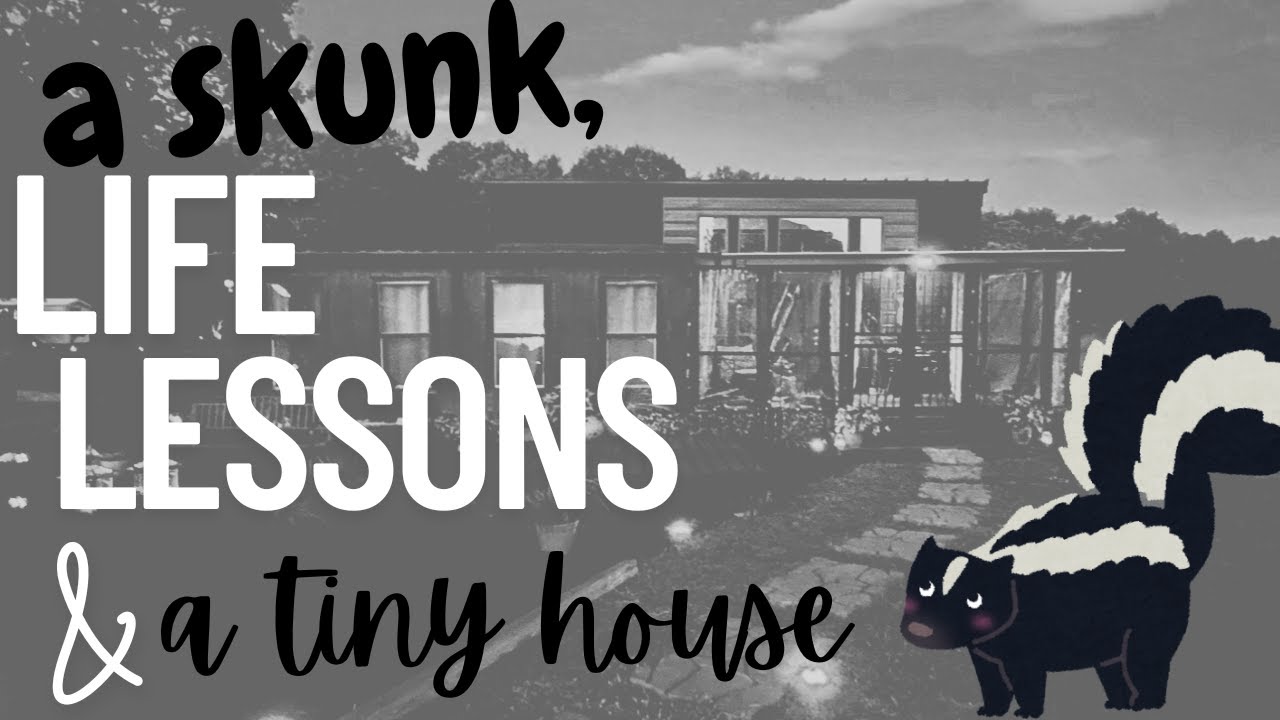 Lessons From a Skunk: Vulnerability, Resistance & Living Intentionally - YouTube