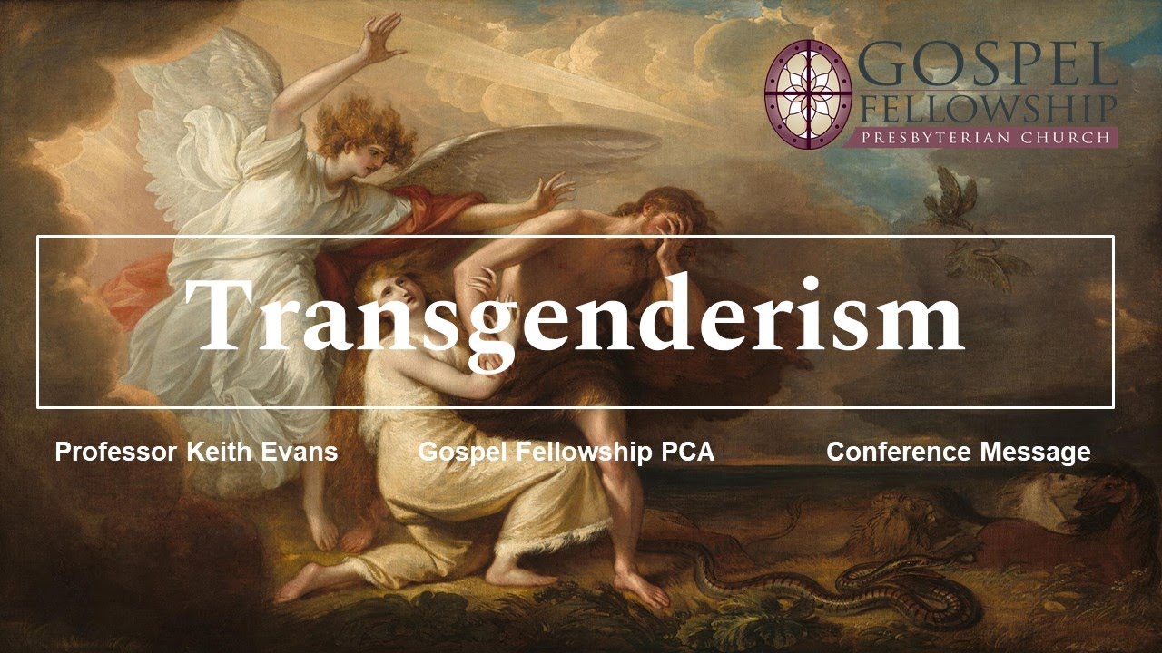 Image of God Conference - Transgenderism - YouTube