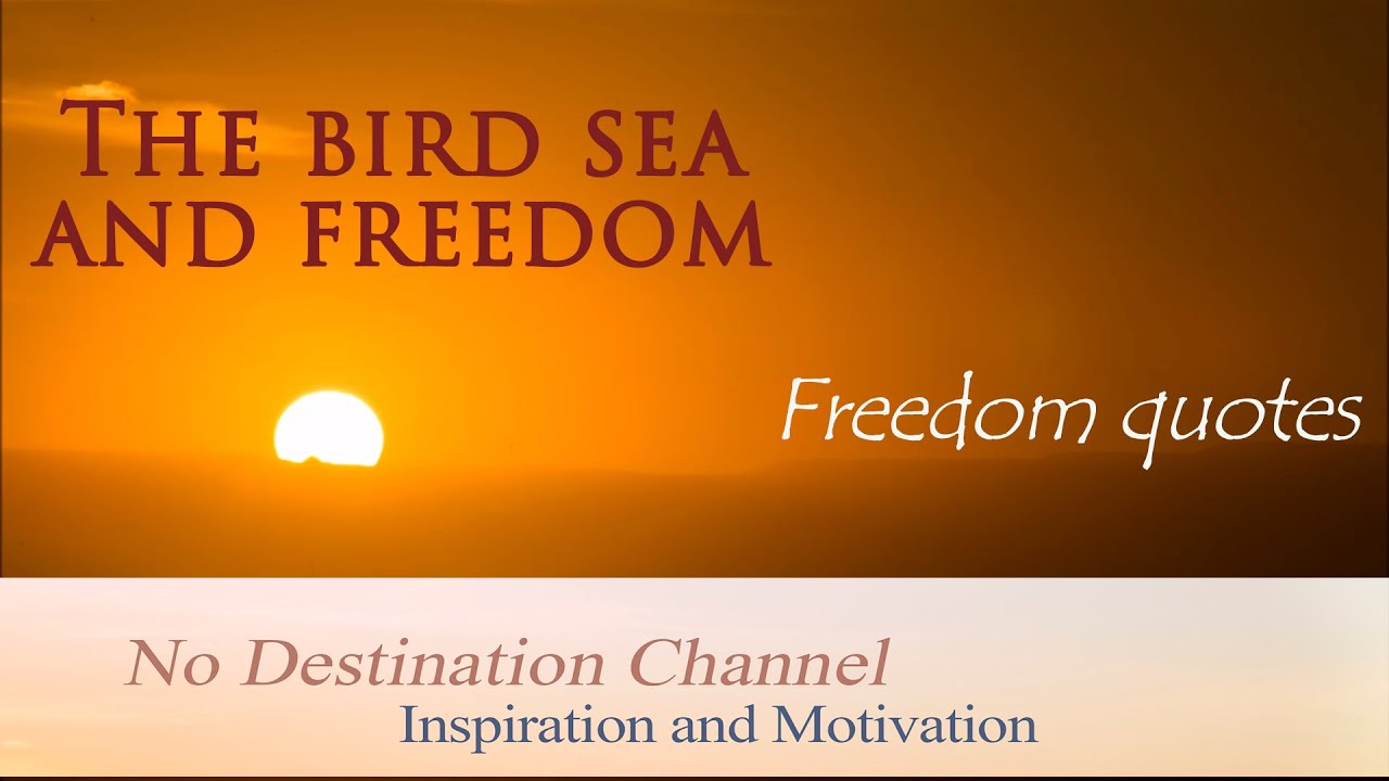 The bird sea and freedom - Freedom quotes - YouTube