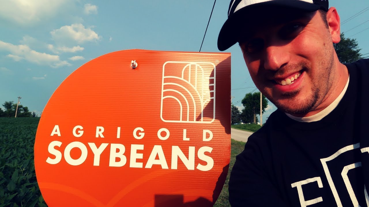 Checking out Agrigold G3410RX Soybeans - YouTube