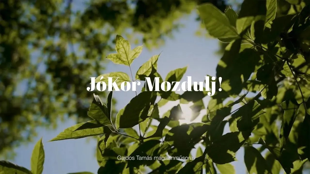 Jókor Mozdulj - 2025.12.20. - YouTube