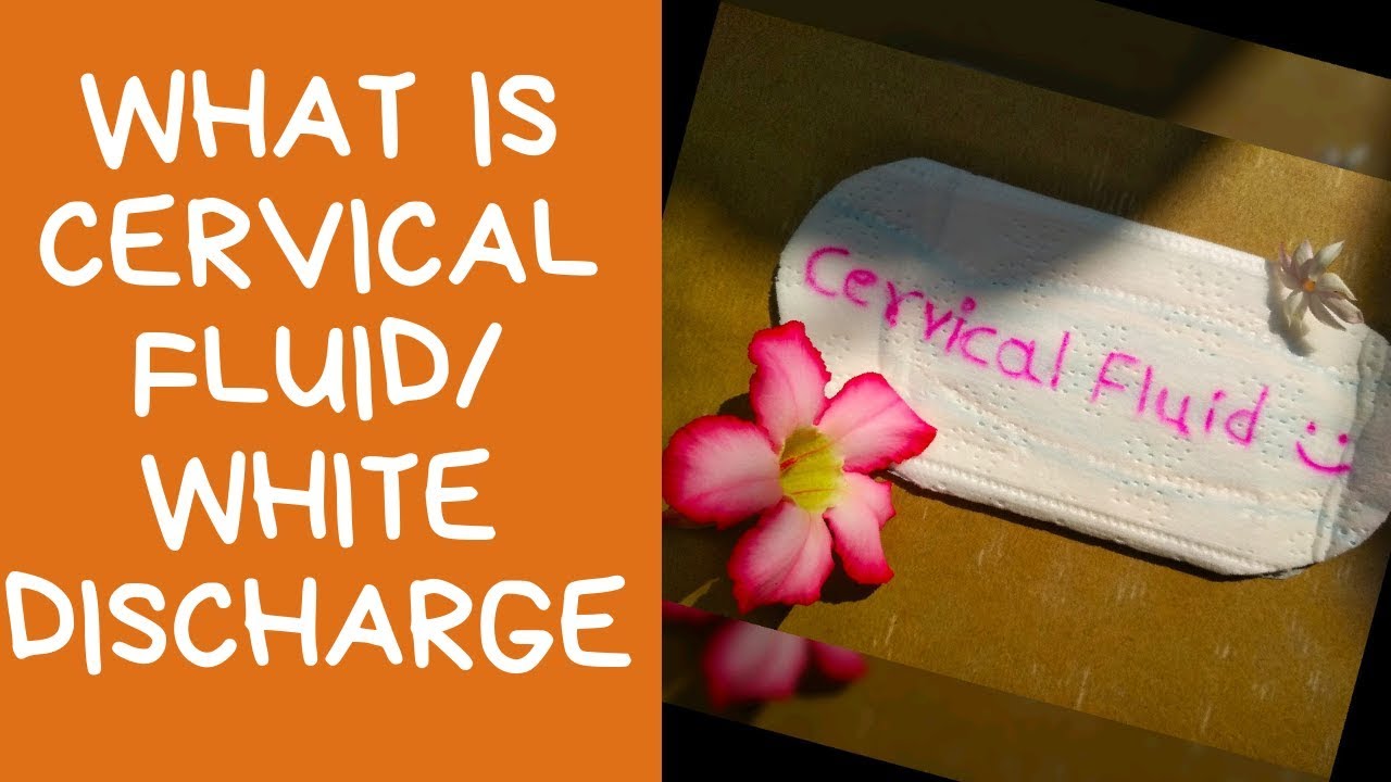 What is Cervical Fluid /Cervical Mucus or CM/White Discharge - YouTube