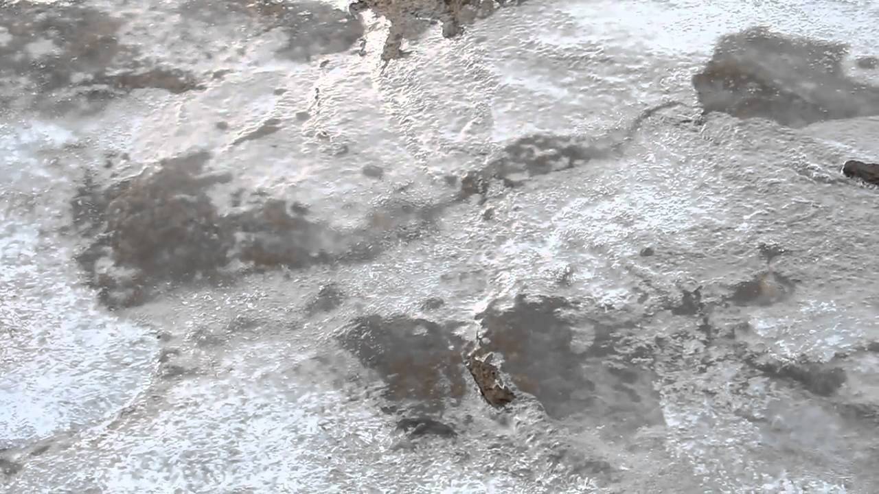 lava bugs.MOV - YouTube