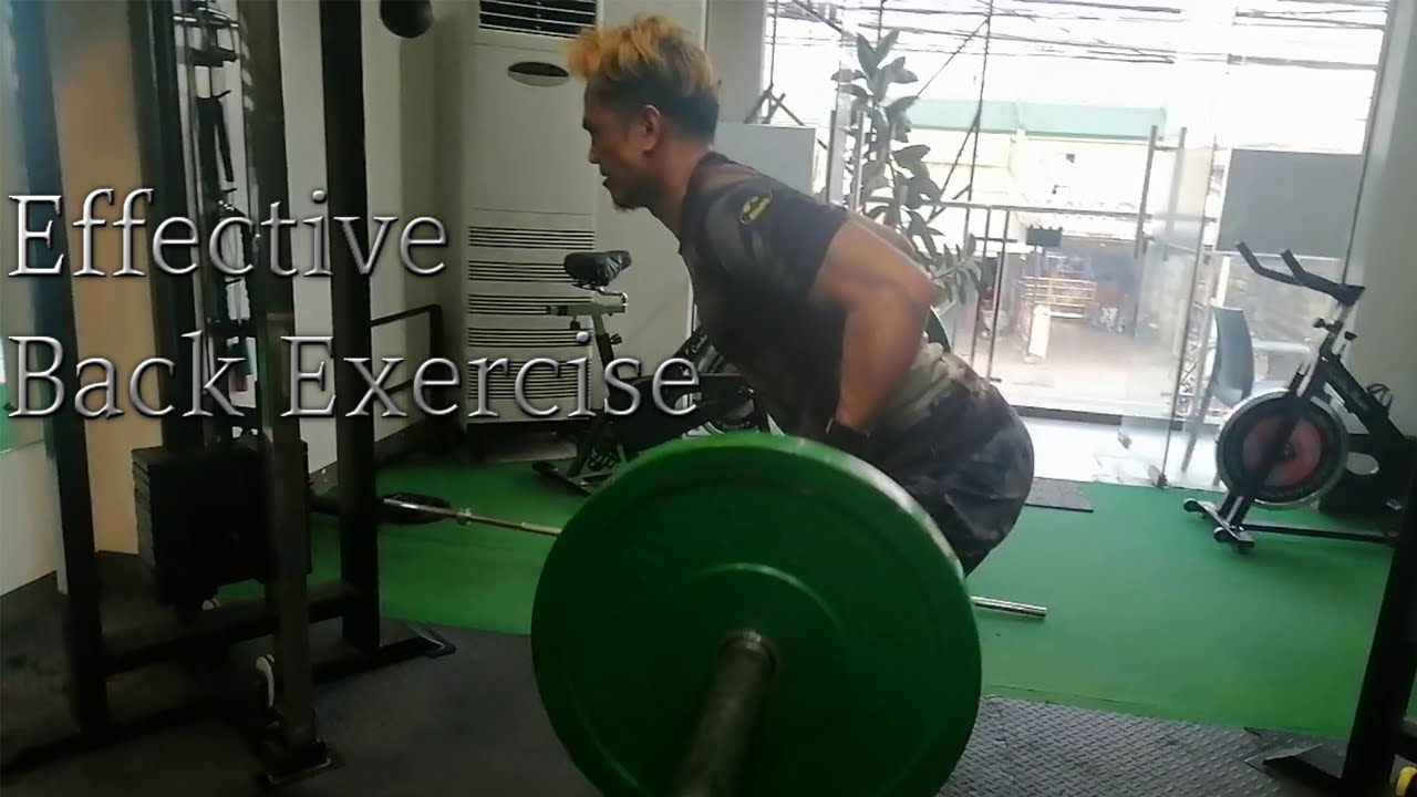 Gym Back Exercise Program #1 - YouTube