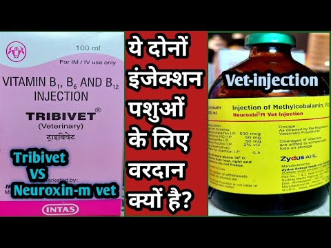 Neuroxin-m vet VS Tribivet injection|| Donu mein better konsa h||ye ...