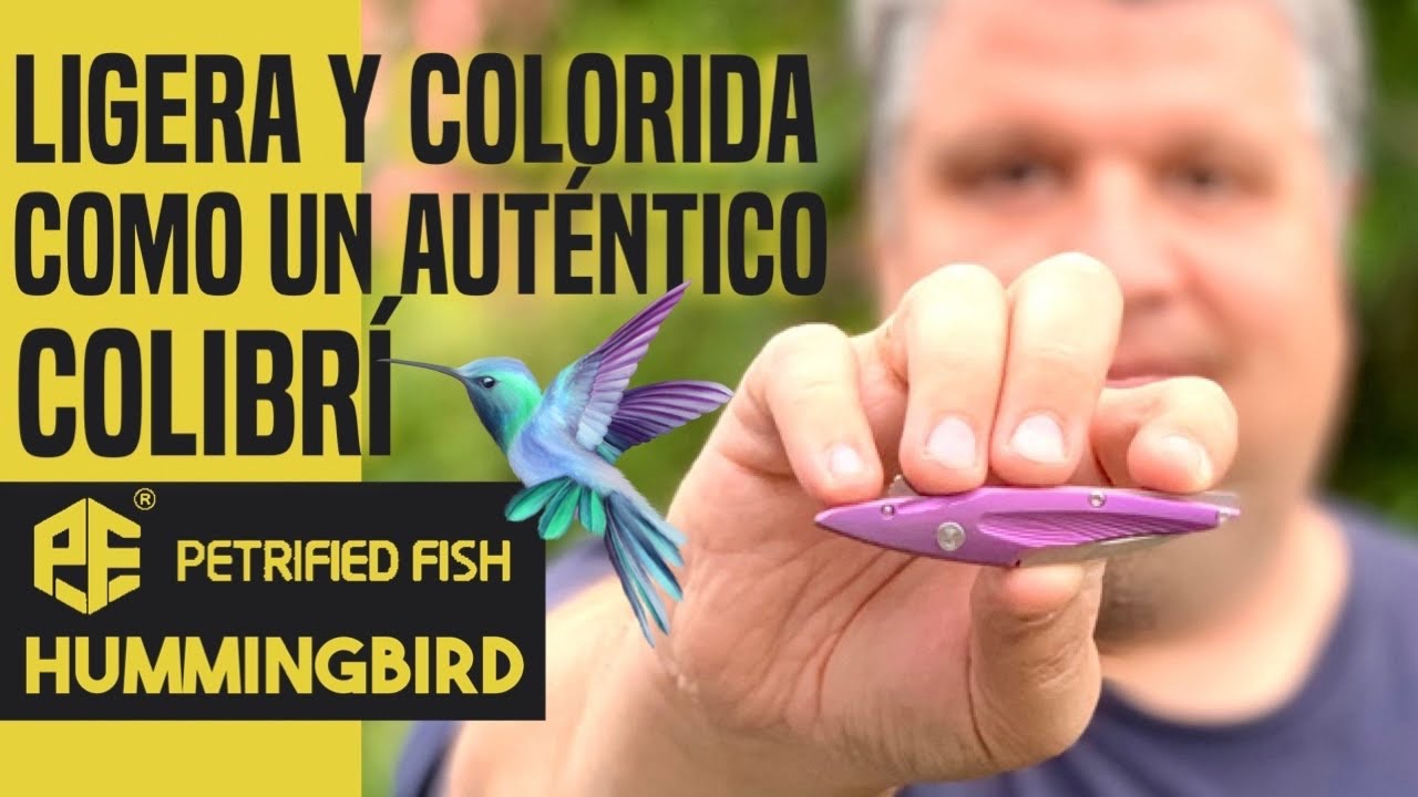 PETRIFIED FISH HUMMINGBIRD: un COLIBRÍ en la PALMA DE TU MANO. Revisión ...