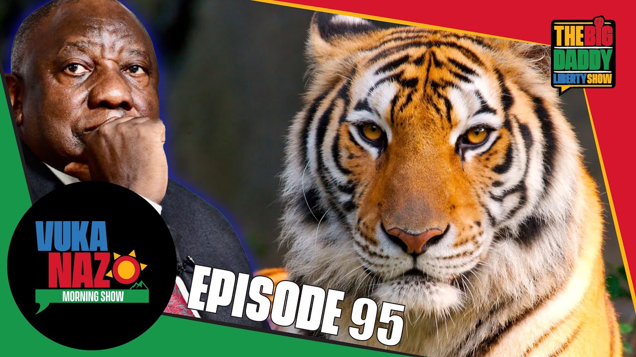 Escaped tiger killed, maul victim to sue & Ramaphosa’s new plan & laws ...