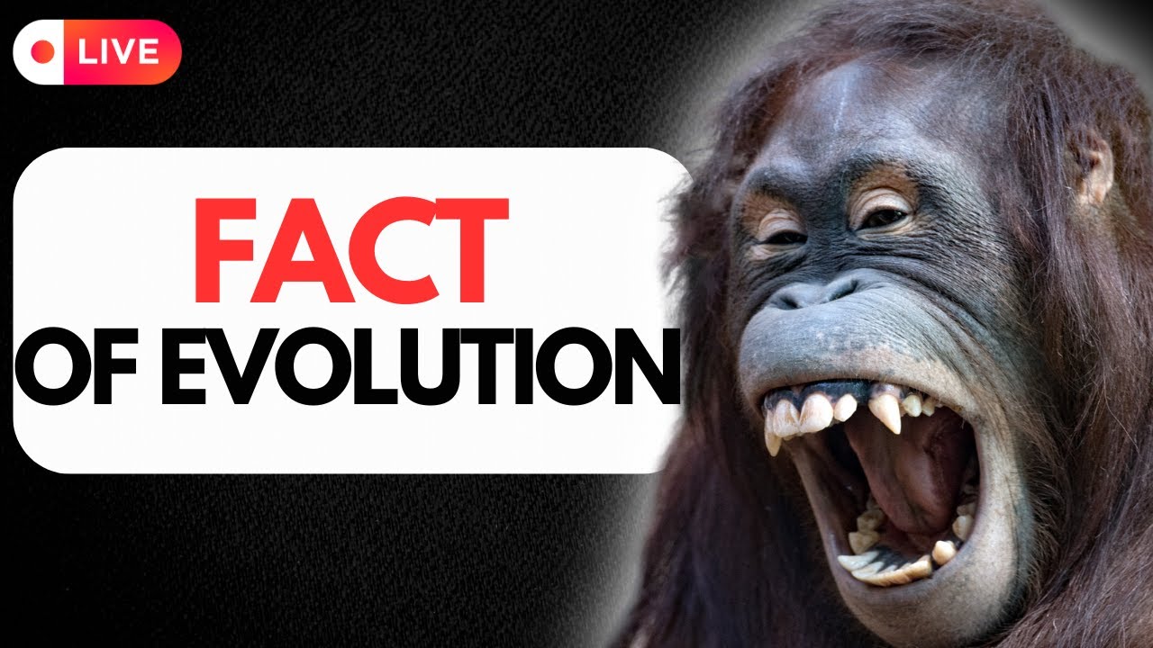 Debating Evolution, Prove it wrong - YouTube