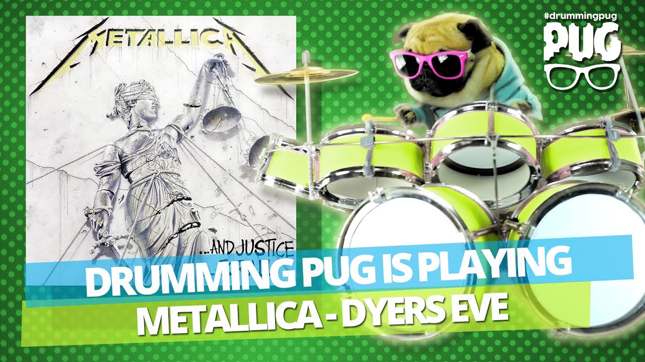 Drumming Pug - Metallica Dyers Eve - YouTube