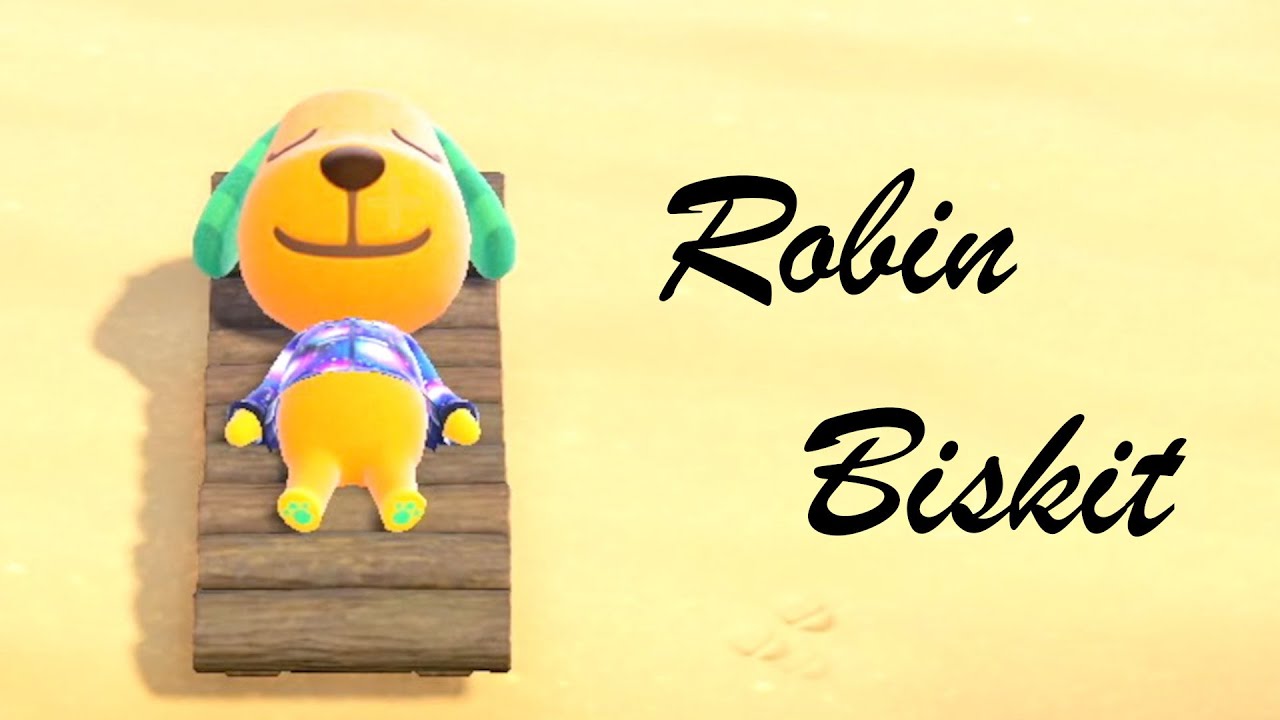 【あつ森】ロビンとまったり時間【あつまれどうぶつの森】 - YouTube