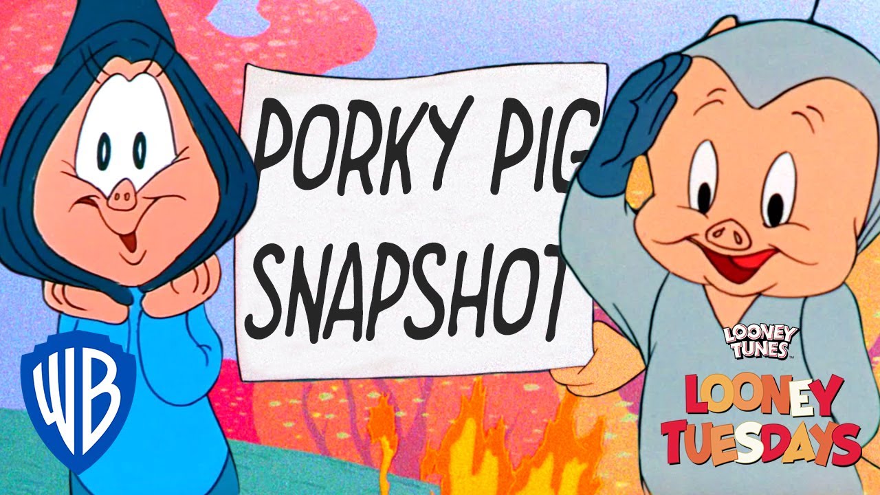 Porky Pig Snapshot | Looney Tuesdays | WB Kids - YouTube
