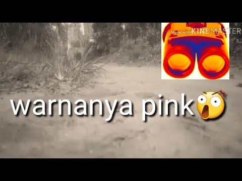 Ngintip orang mandi