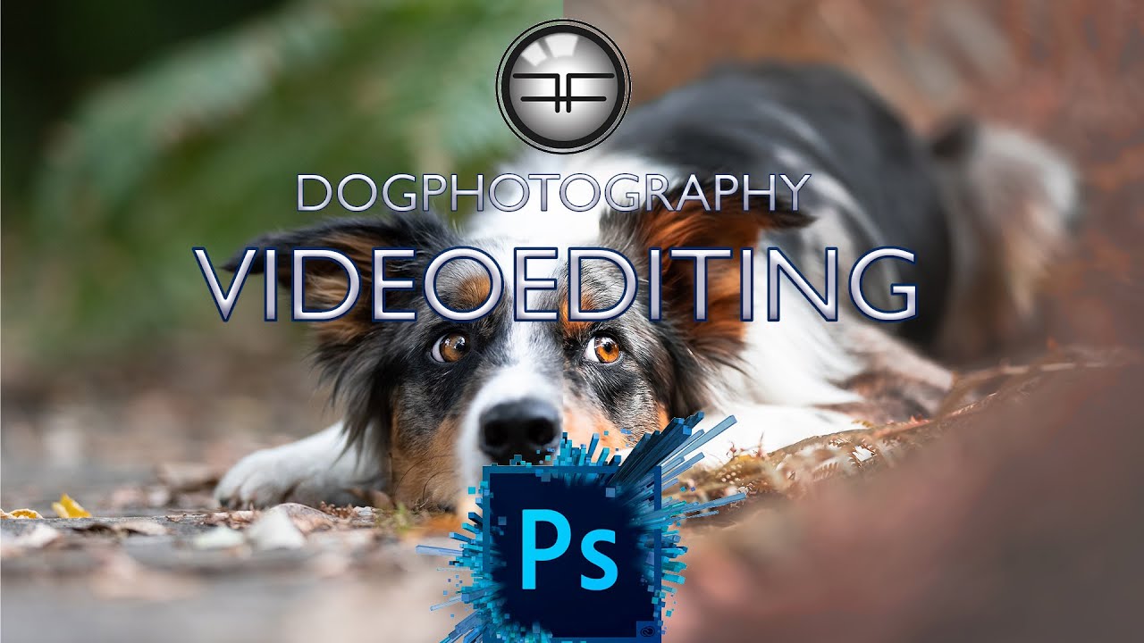 DOGPHOTOGRAPHY VIDEO EDITING by FUNFRAME - YouTube