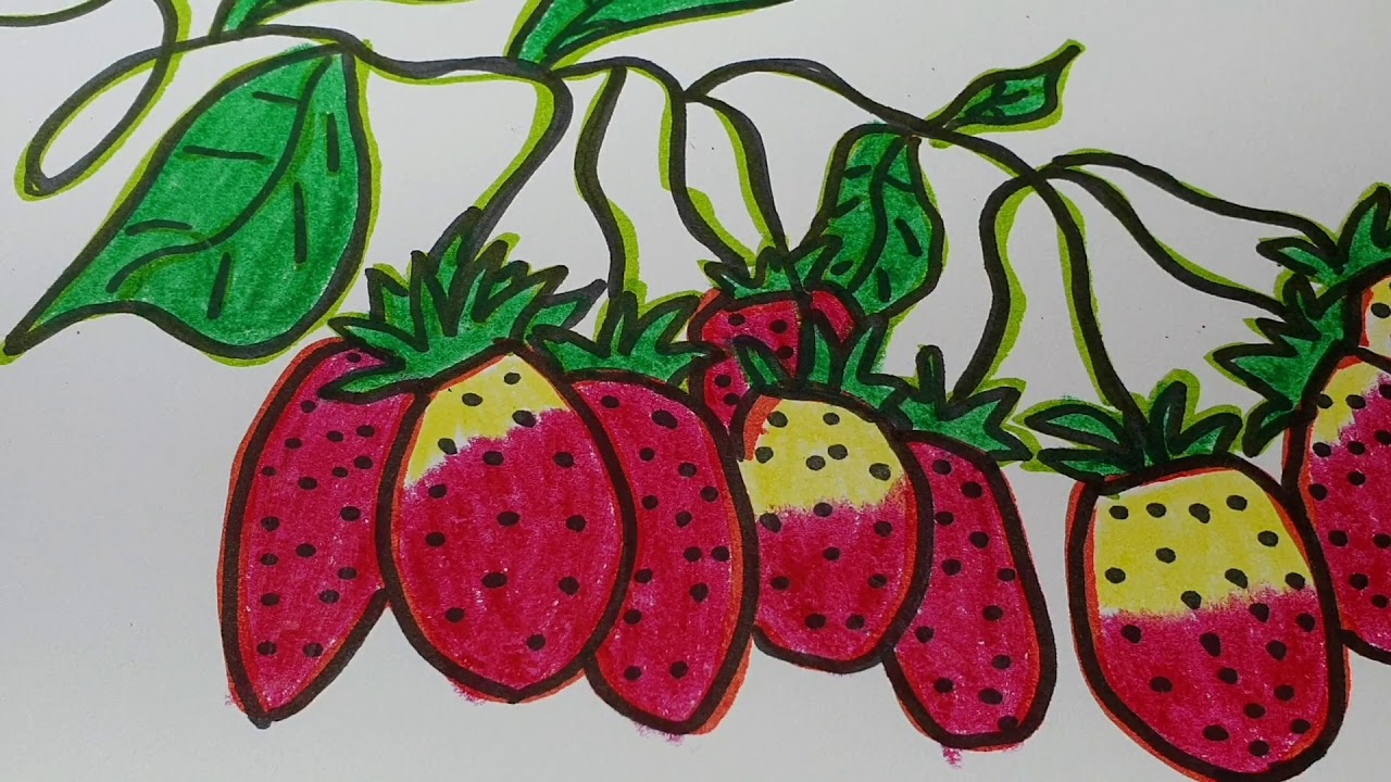 seasonal fruit strawberries/harabong 신선한 제철과일 딸기/한라봉 [그림색칠하기] - YouTube