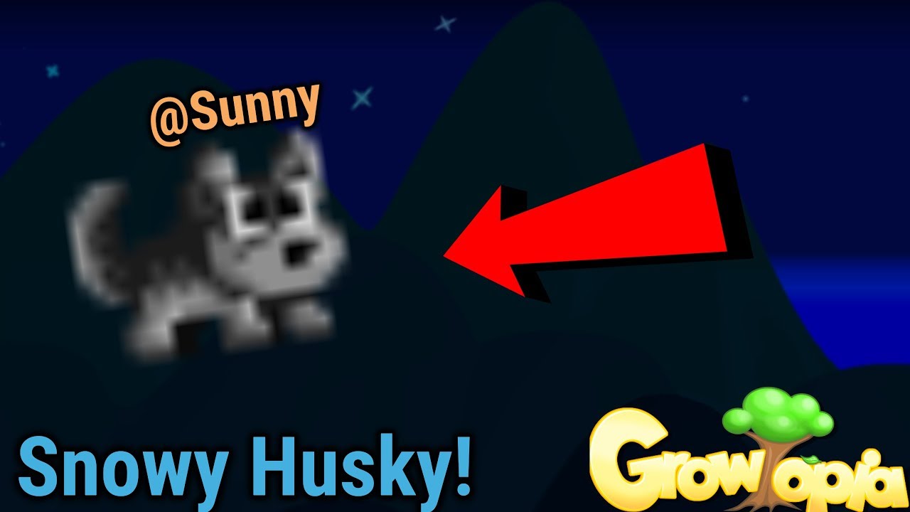 Buying New Snow Husky! | Growtopia #Growtopia - YouTube