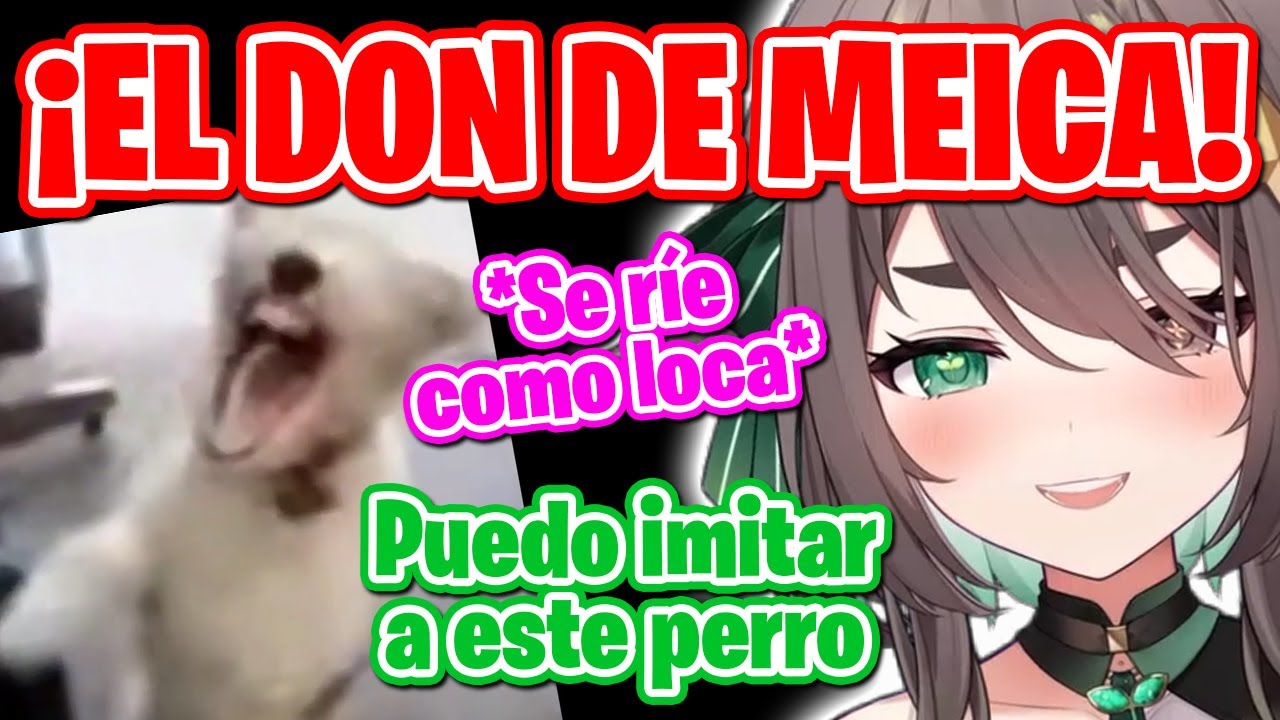 Meica descubre que puede reírse como el perro de este meme【Meica】 - YouTube