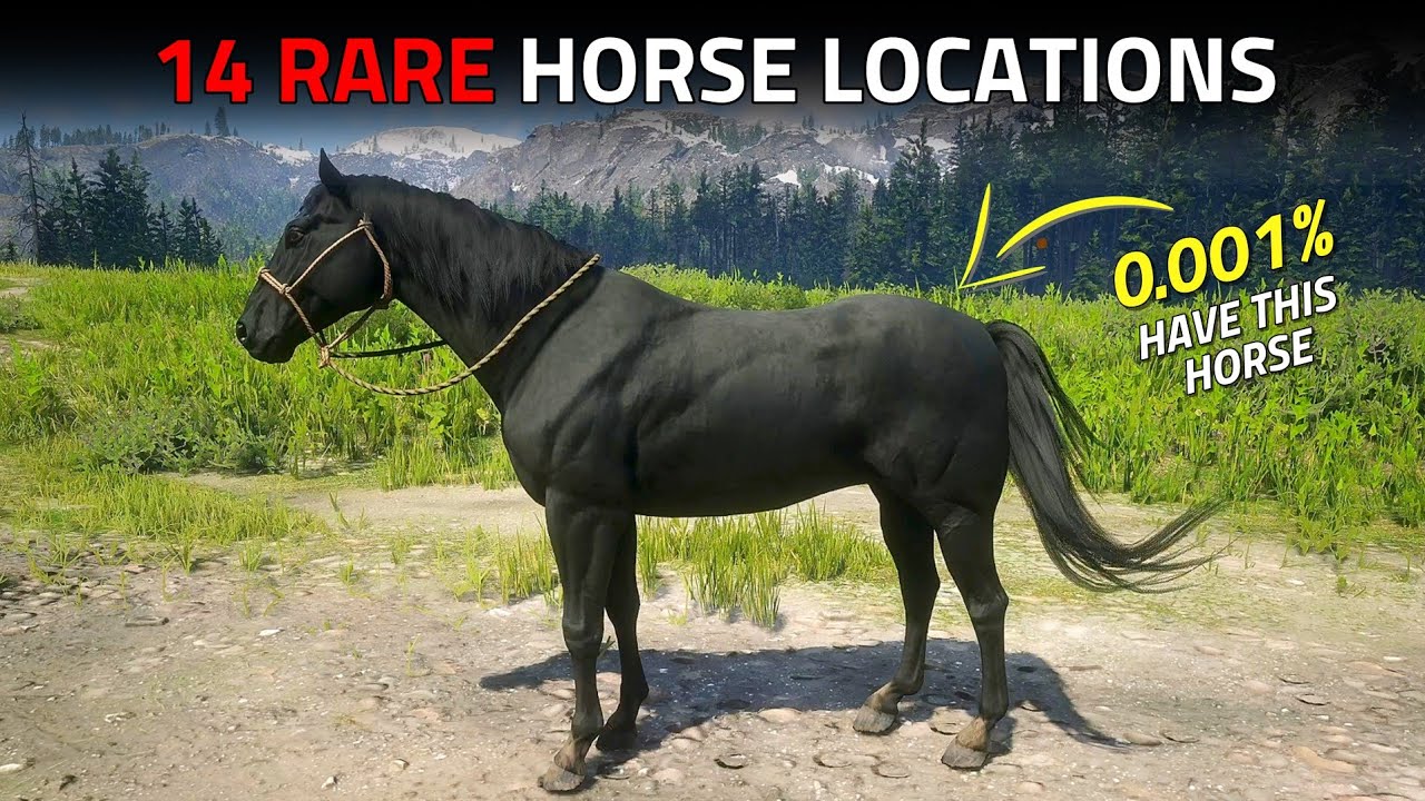 14 Rare Horse Locations - RDR2 - YouTube