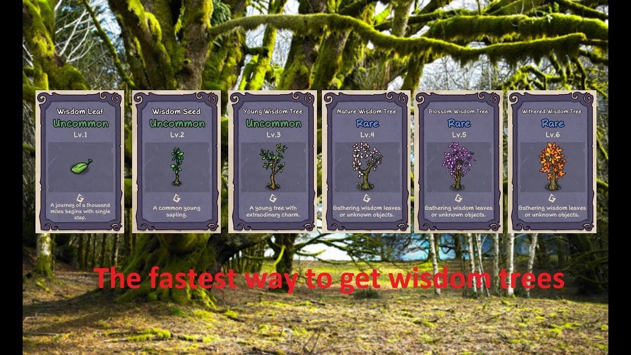 Park Of Monster - Wisdom Trees - The fastest way to get wisdom trees ...