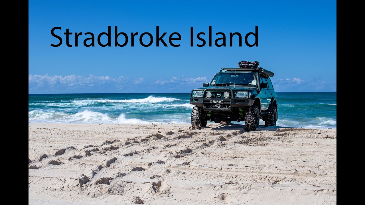 Straddie beach fishing, adventures and the dolphins are amazing. - YouTube