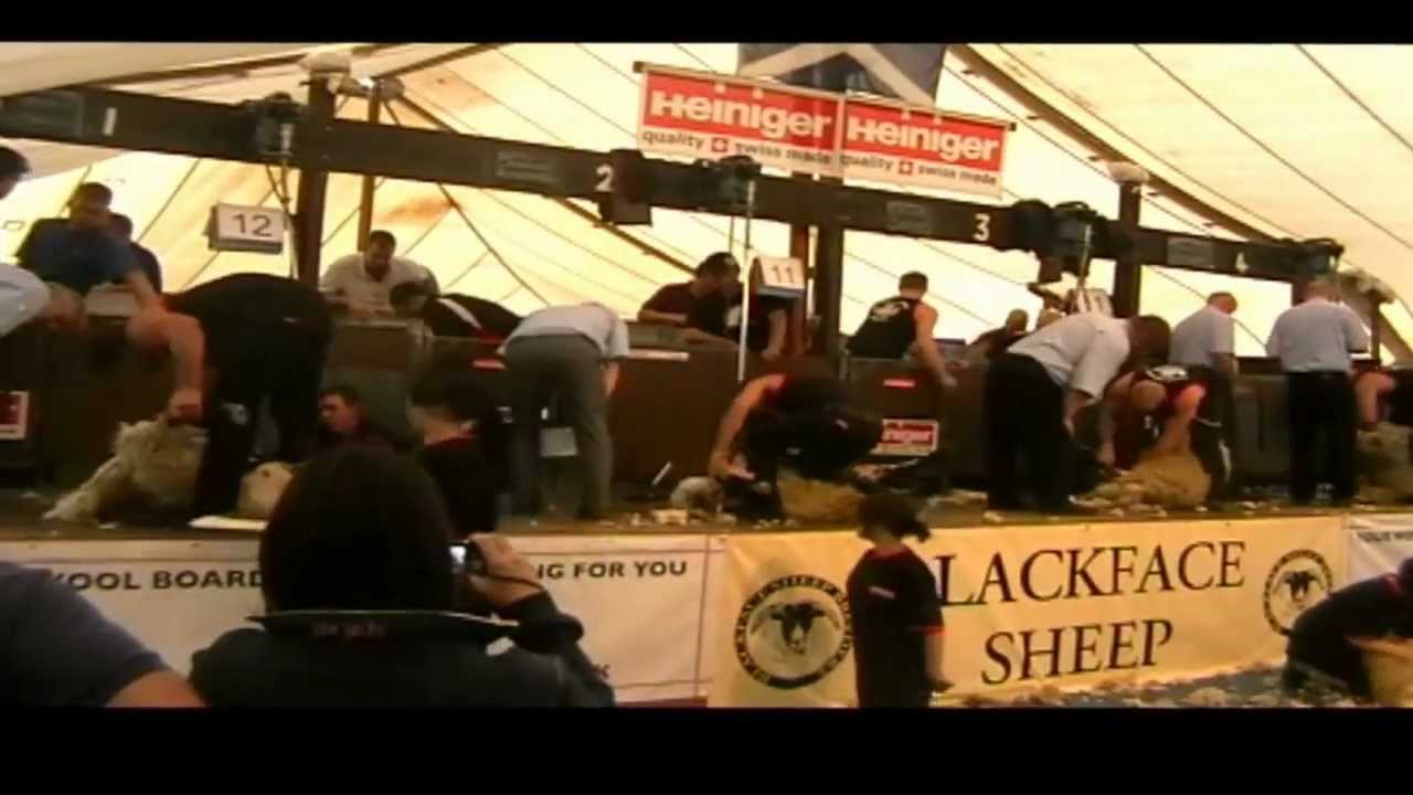 Lochearnhead Open 2012 Johnny Kirkpatrick Simon Bedwell Calum Shaw ...