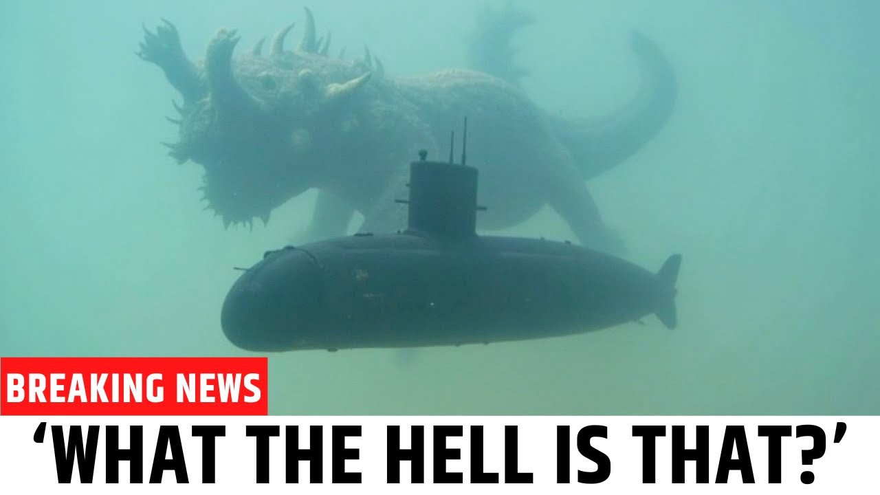 Submarine Crew Encountered a Massive Sea Creature Larger Than the Sub ...